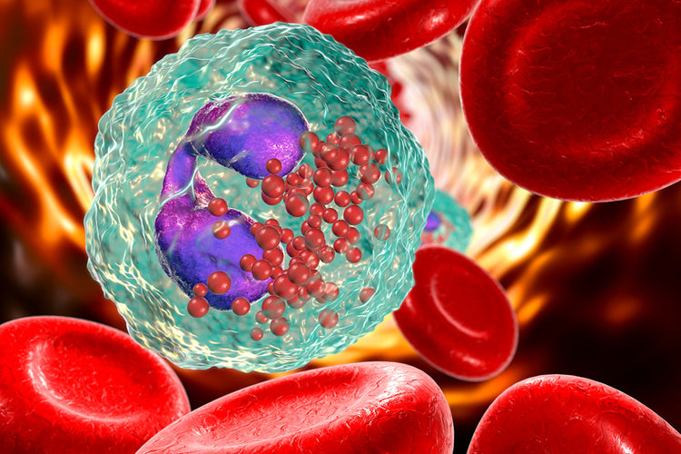 Understanding Autoimmune Disease – Turmeric Australia