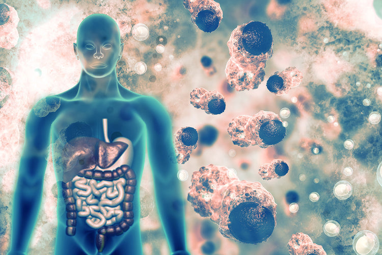 Understanding & Reducing Toxicity – Turmeric Australia